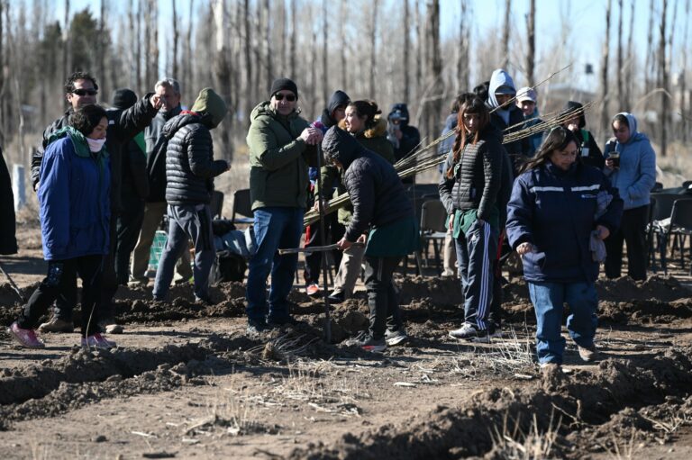 El municipio continúa la recuperación de la cortina forestal en el ...