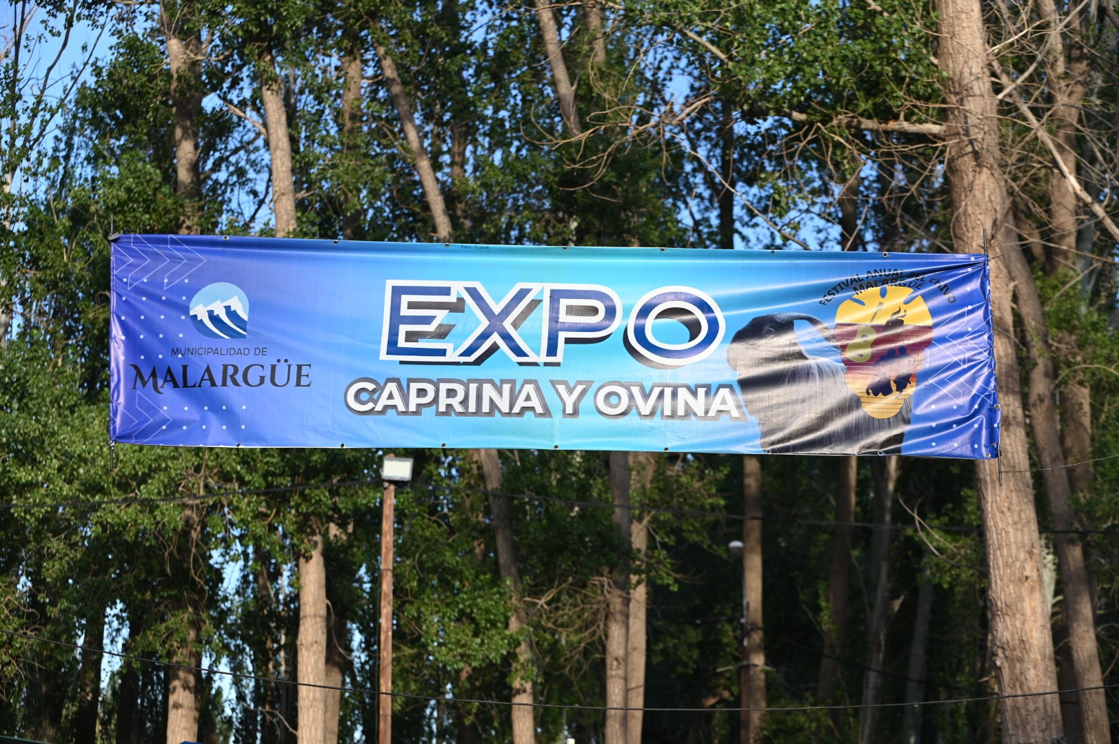 Fiesta Nacional del Chivo 2026: Productores y Crianceros premiados en la Expo Caprina y Ovina ...